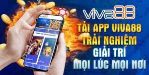 VIVA88 | Link Vào Và Đăng Nhập Nhà Cái VIVA88 NET